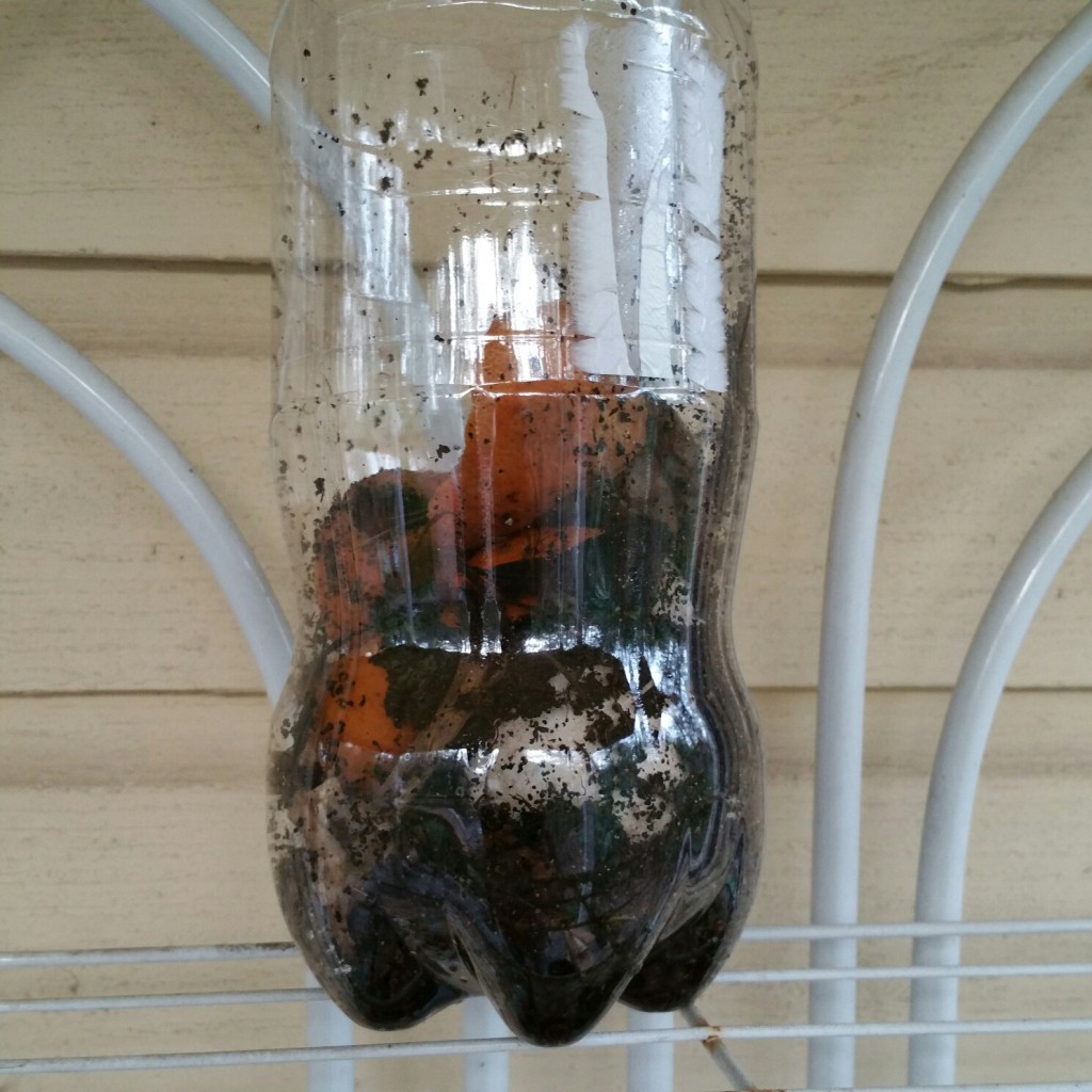 Composting With 4-H Clubs | 4-H in the Panhandle