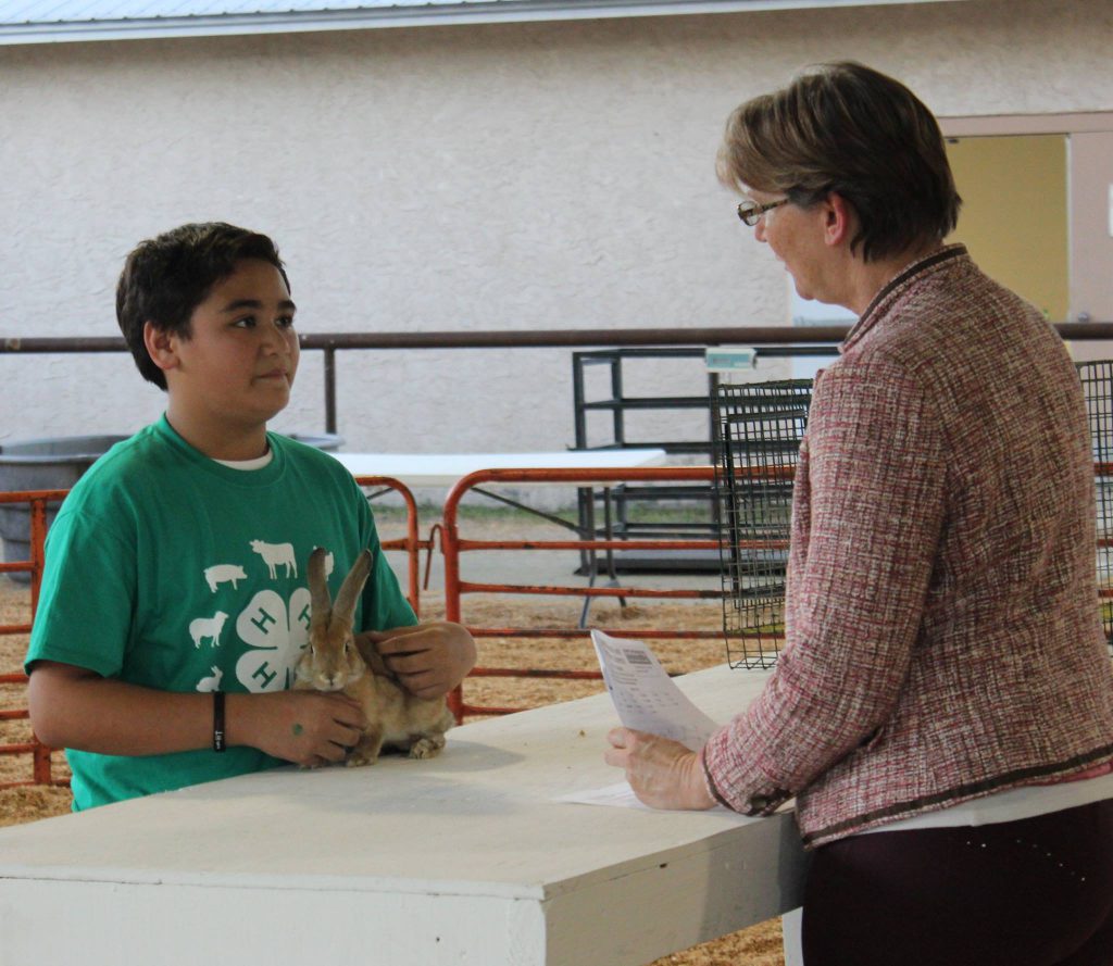 5 Steps to Poultry Showmanship | 4-H in the Panhandle