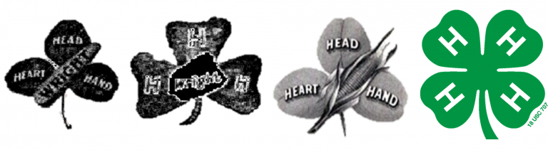 The 4-H Culture | 4-H in the Panhandle