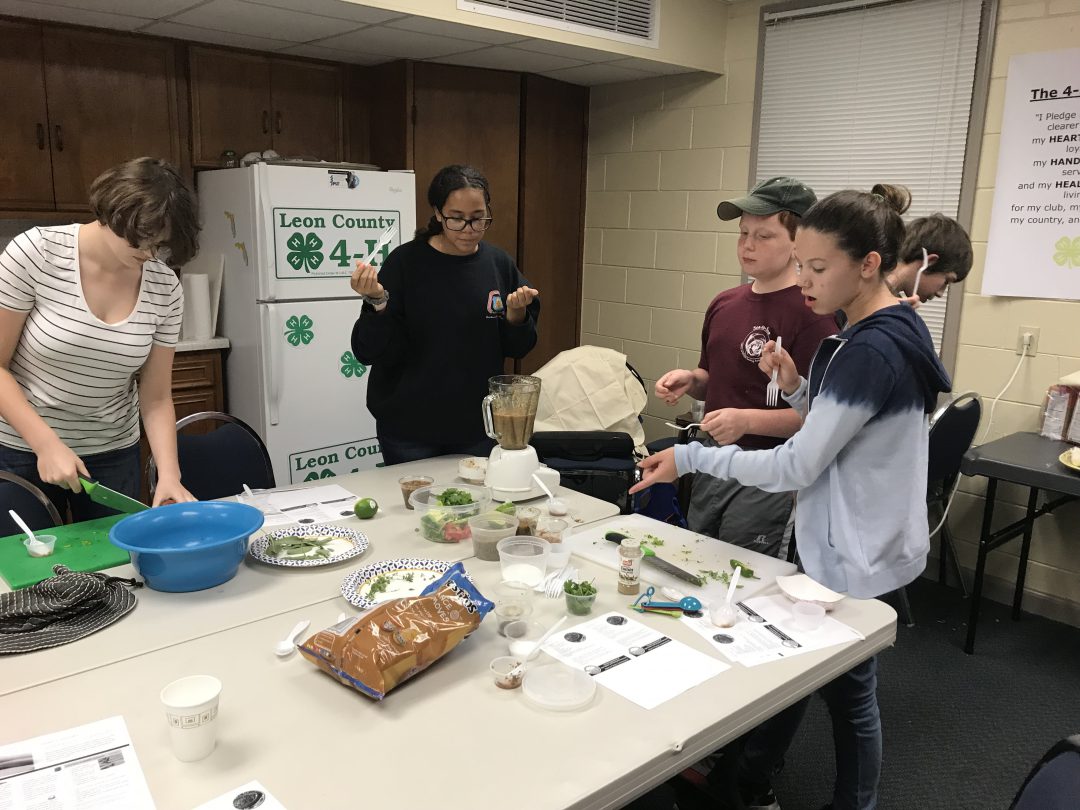 Healthy School Snack Ideas | 4-H in the Panhandle