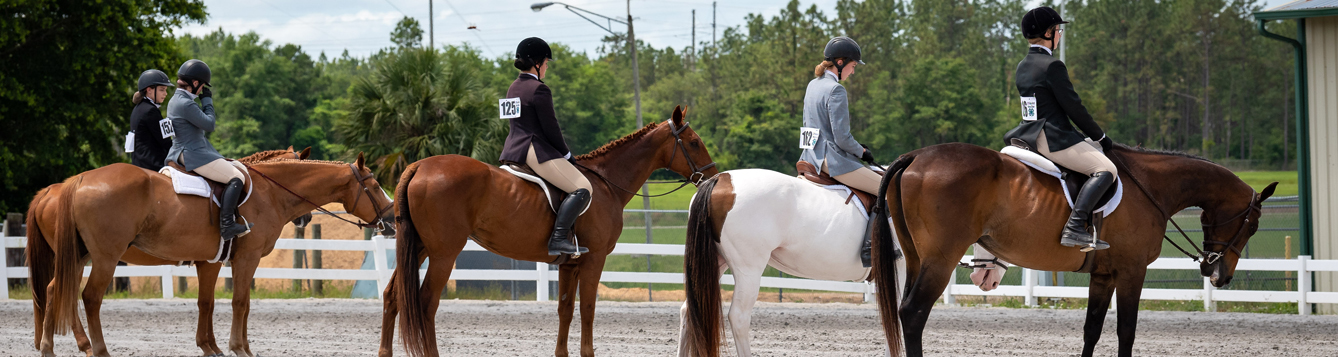 Now is the Time To Get Involved in the Florida 4-H Horse Program | 4-H ...