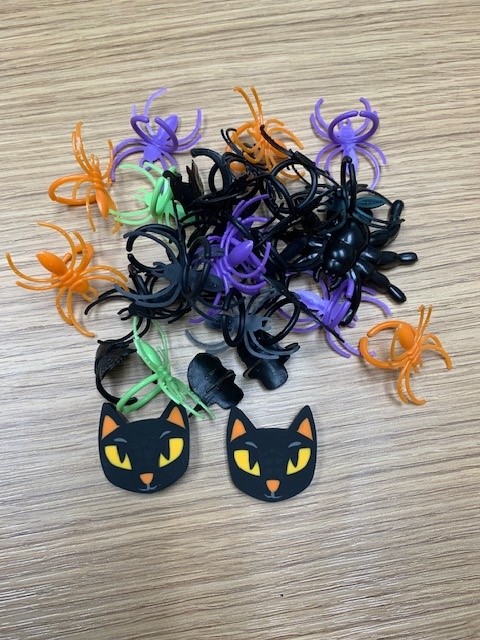 spiders | 4-H in the Panhandle