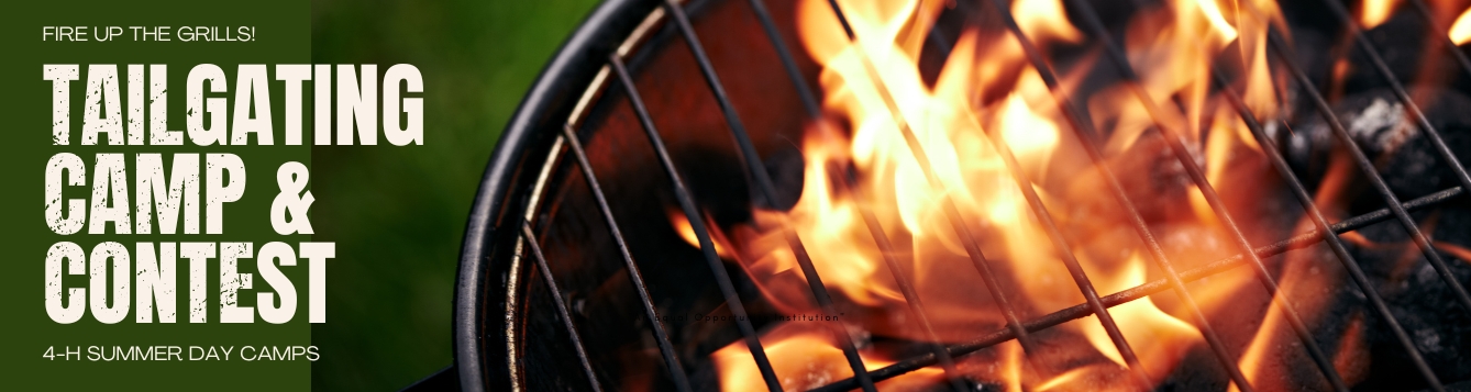 Lighting a Fire for Grilling: Incorporating Learning and Fun through ...