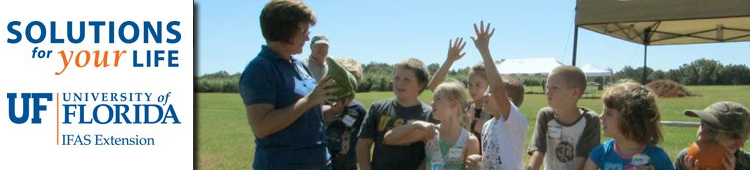 4-h-header.jpg | District 4-H