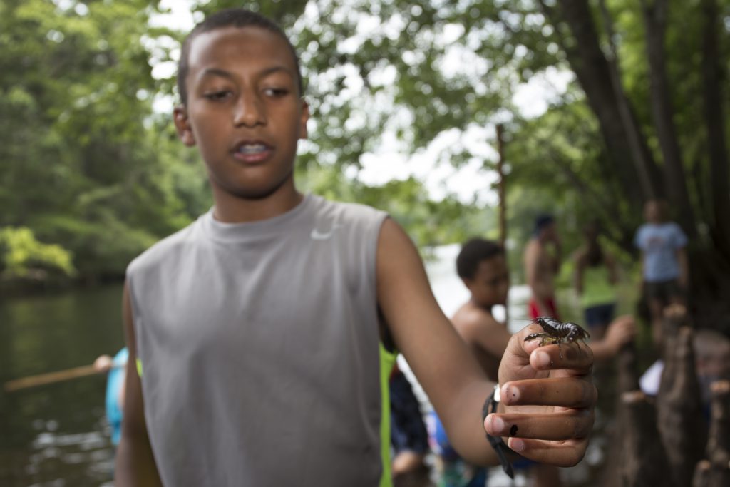 Wonders of the Insect World Day Camp | District 4-H