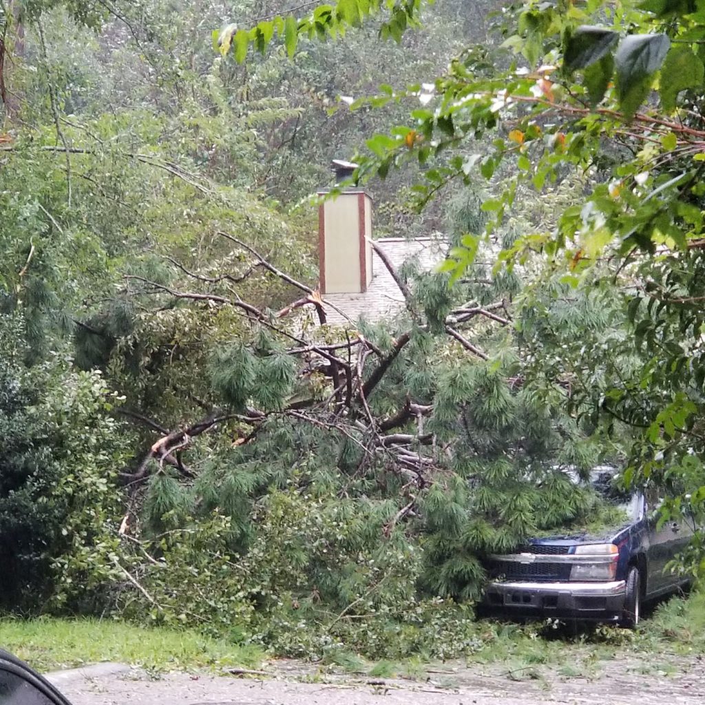 After the storm, recovery begins | Living Well in the Panhandle