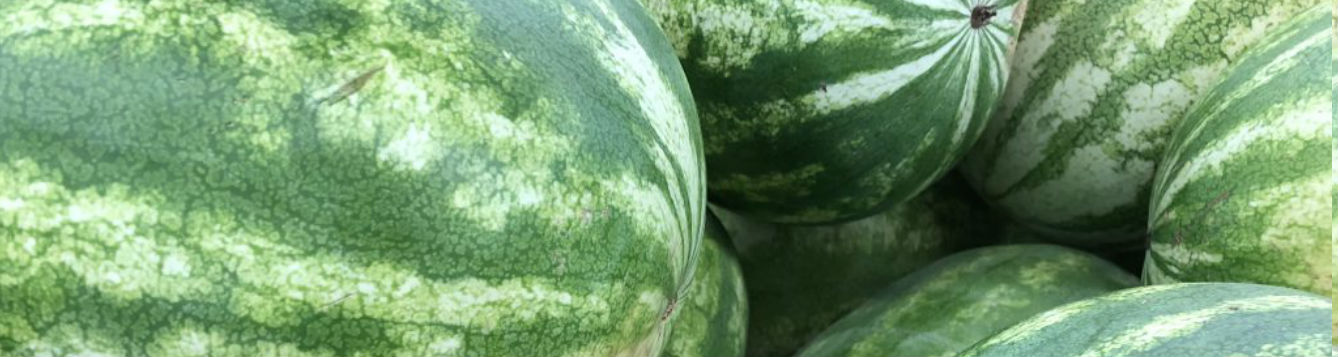 In Season: Watermelon | Living Well in the Panhandle