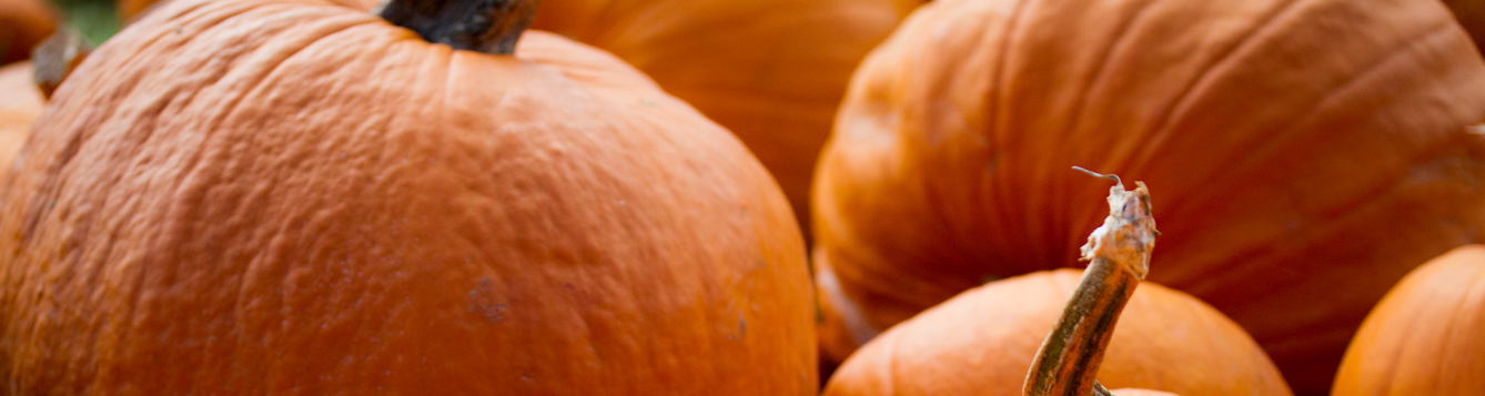 Produce Pointers – Pumpkins | Living Well in the Panhandle