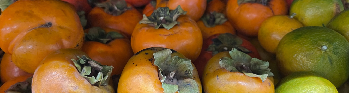 Persimmons_Banner | Living Well in the Panhandle
