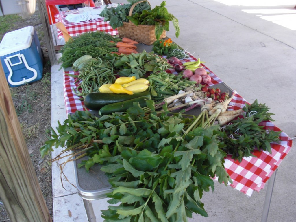 Support Farmers, Buy Local | Gardening in the Panhandle
