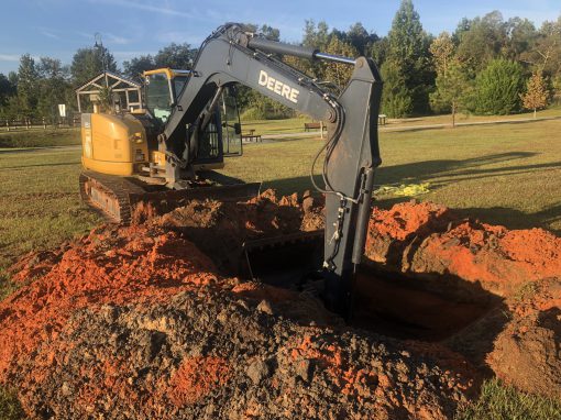 How to Plant a Tree Correctly | Gardening in the Panhandle