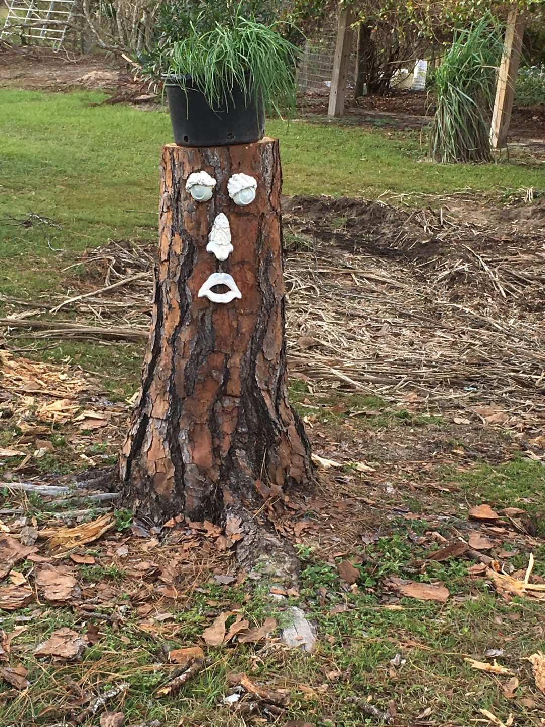 Mr Stumpy Hurricane art | Gardening in the Panhandle