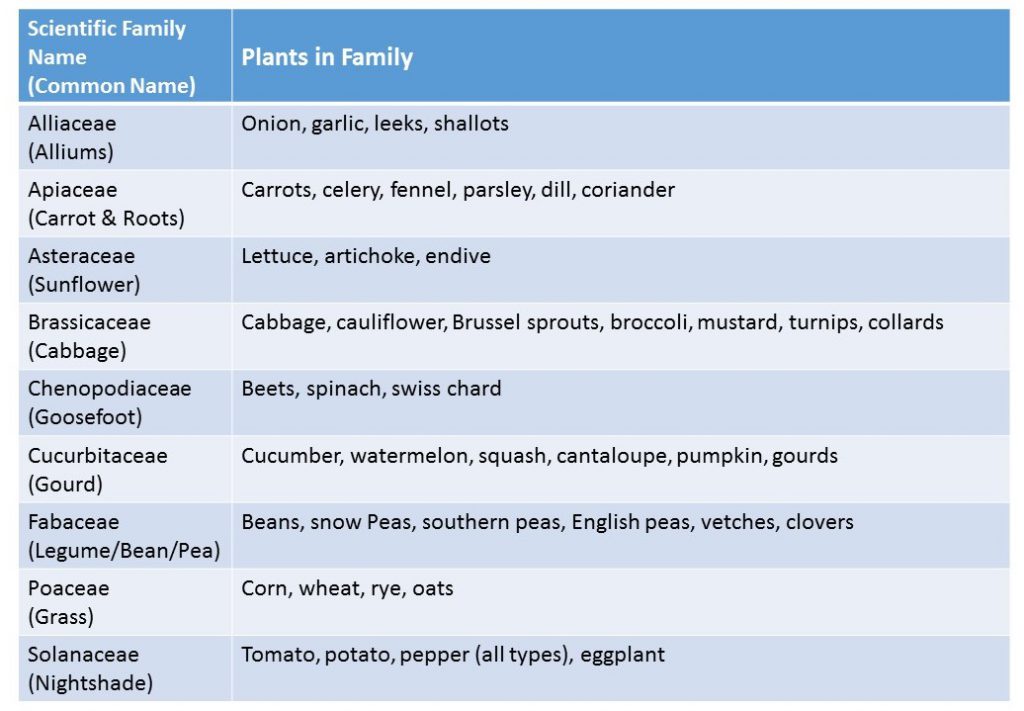 Planning the Garden: Crop Rotation | Gardening in the Panhandle
