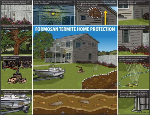 Protect Your Home from Swarming Termites | Gardening in the Panhandle
