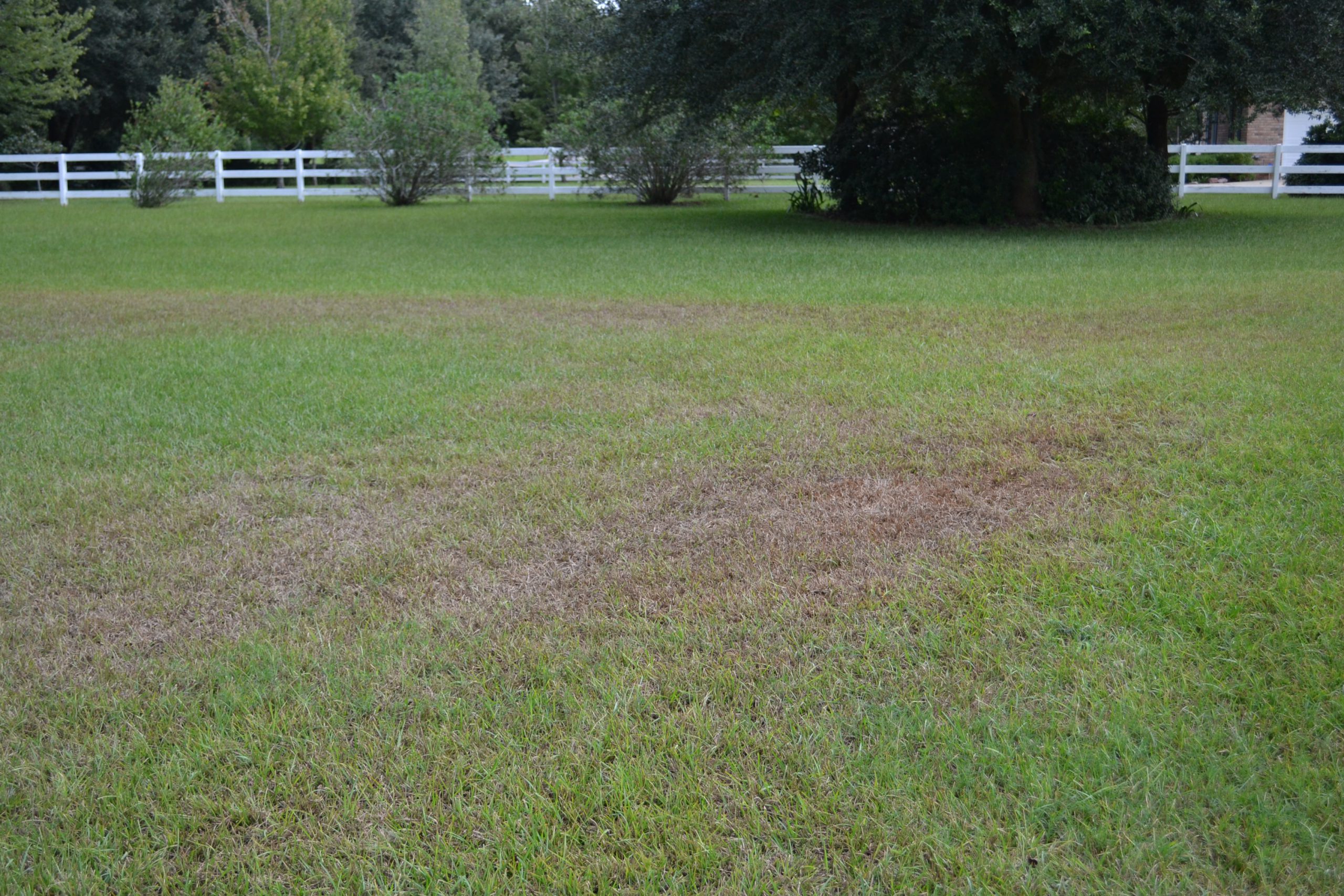 Video: Soil Moisture Sensing Helps Deliver Water as Needed to Turf ...