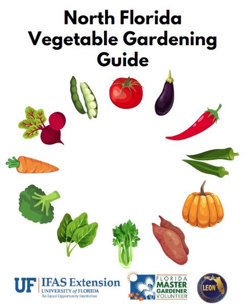 The North Florida Vegetable Gardening Guide | Gardening in the Panhandle