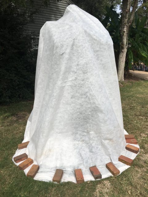 Protect Your Winter Garden and Landscape Plants with Frost Cloth ...