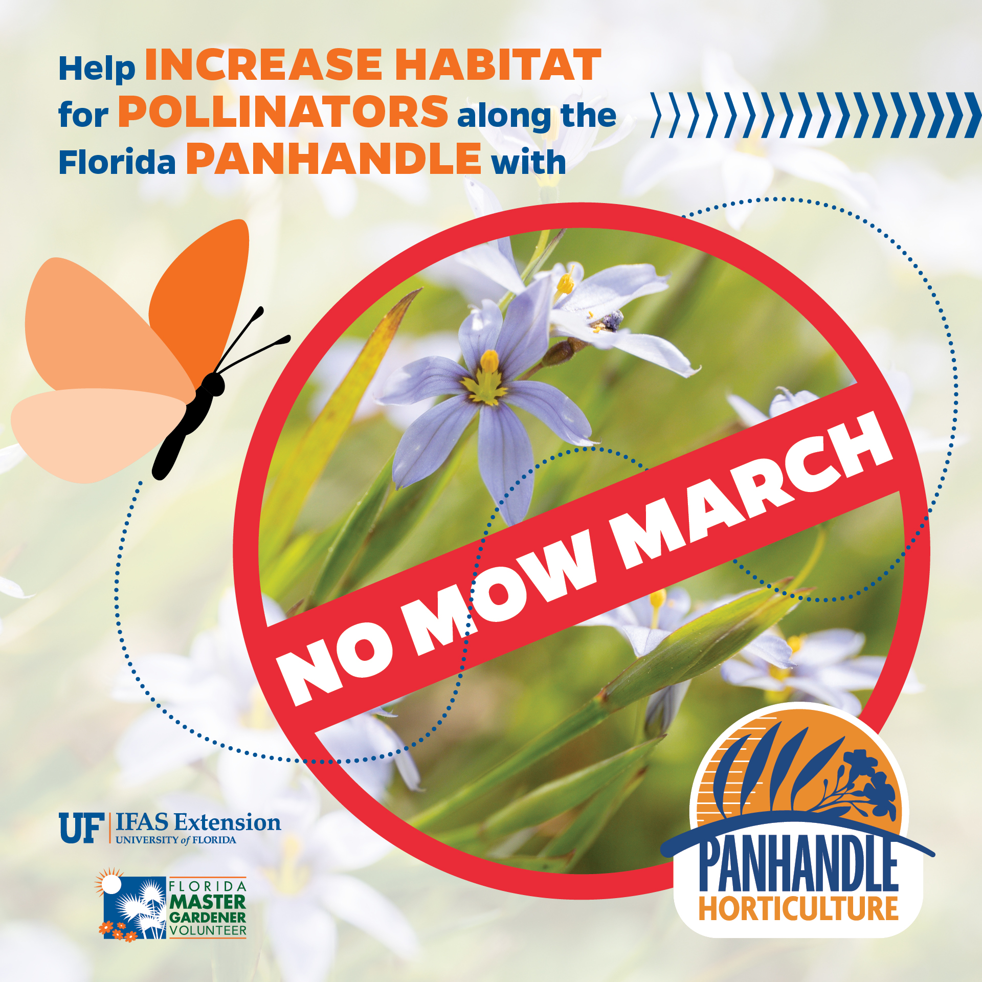 No Mow March Winning Photo Gardening In The Panhandle
