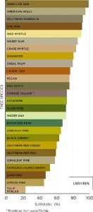 Native plants | Gardening in the Panhandle