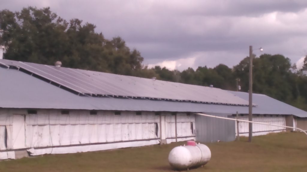 Maximize your farm’s energy savings with FDACS’ free energy evaluations ...