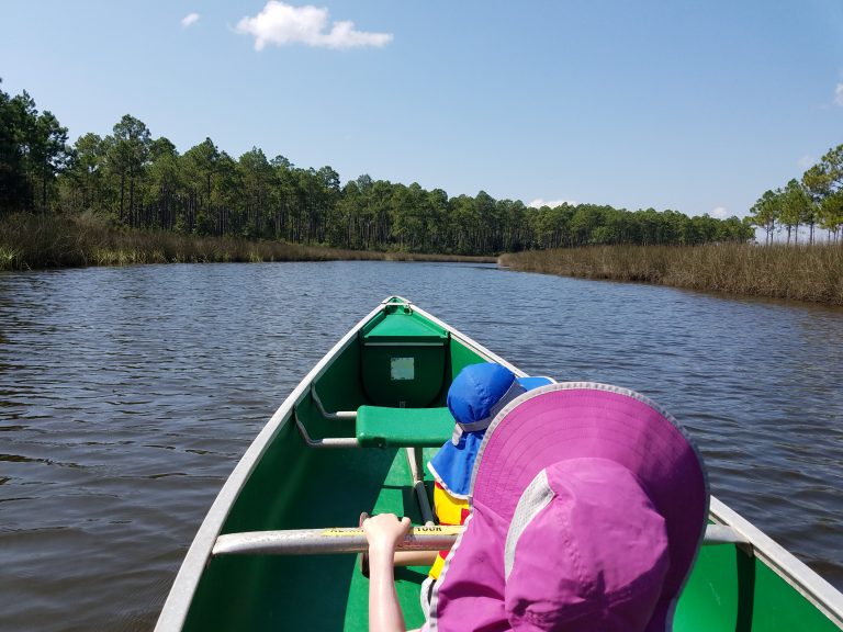 Addressing Eutrophication in Florida, one watershed at a time ...
