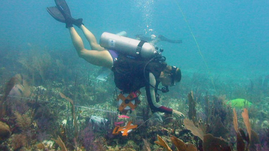 Deep Sea Submersibles | Panhandle Outdoors