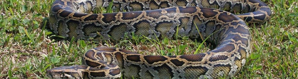 Climate | Panhandle Outdoors