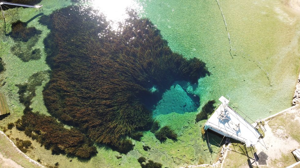 Why do we have so many springs in Florida? | Panhandle Outdoors