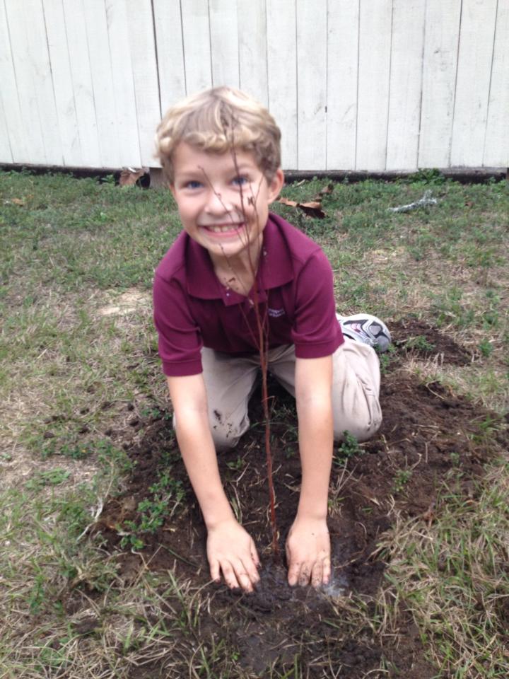 Fall And Winter—floridas Tree Planting Seasons Panhandle Outdoors