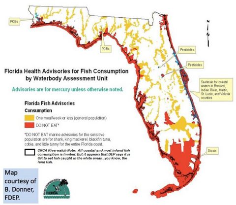Mercury Contamination in Local Fish | Panhandle Outdoors