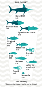 Mercury Contamination in Local Fish | Panhandle Outdoors