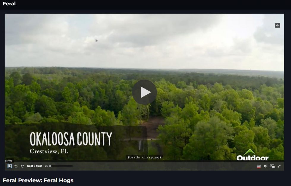 Feral, A New Show about Invasive Species | Panhandle Outdoors