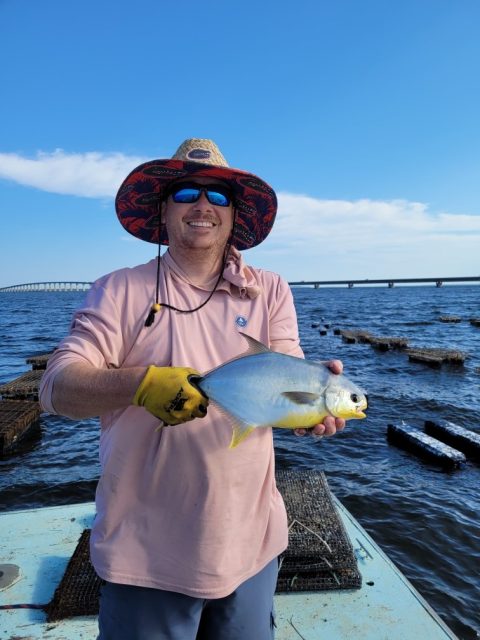 Floating Oasis in the Bays; Oyster Farms and Their Ecological Benefit ...