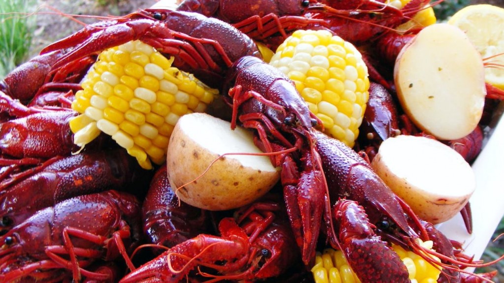 Aquafarming… Florida’s Underwater Agriculture! | Panhandle Agriculture