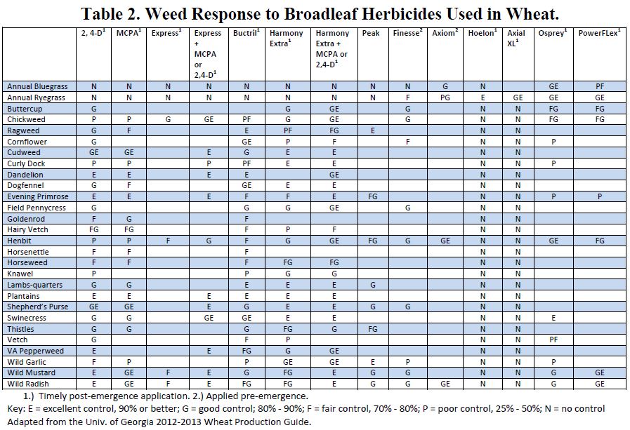 Wheat Production Considerations | Panhandle Agriculture