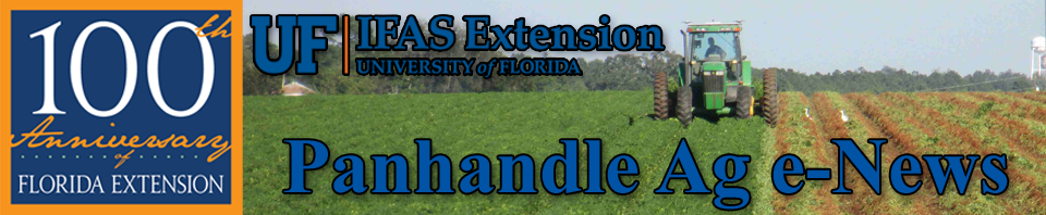 100-Panhandle-Ag-Peanut-Dig-Header.png | Panhandle Agriculture