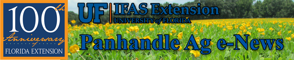 100-Panhandle-Ag-Per-Peanut-Header.png | Panhandle Agriculture