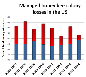 Bee Colony Collapse Disorder Update | Panhandle Agriculture