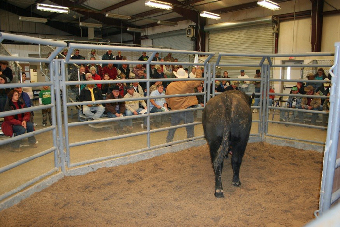 Feed Efficiency Facility | Panhandle Agriculture