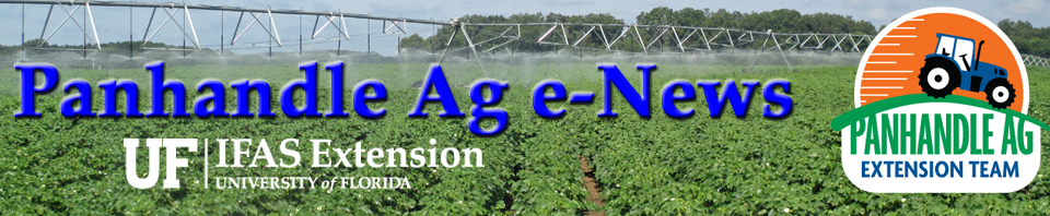 15 Irrigated Cotton Header | Panhandle Agriculture