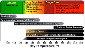 When is Hay Dry Enough? | Panhandle Agriculture