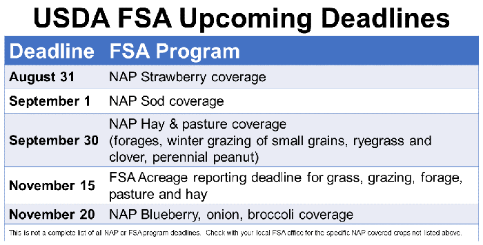 USDA FSA Upcoming Deadlines | Panhandle Agriculture