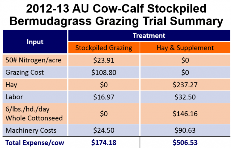 Stockpiled Grazing Can Reduce Winter Feeding Costs | Panhandle Agriculture
