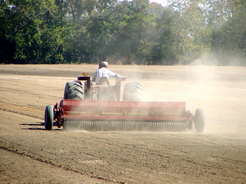 7 Steps to Successful Pasture Establishment | Panhandle Agriculture