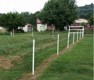 Friday Feature: Timeless Fence System | Panhandle Agriculture