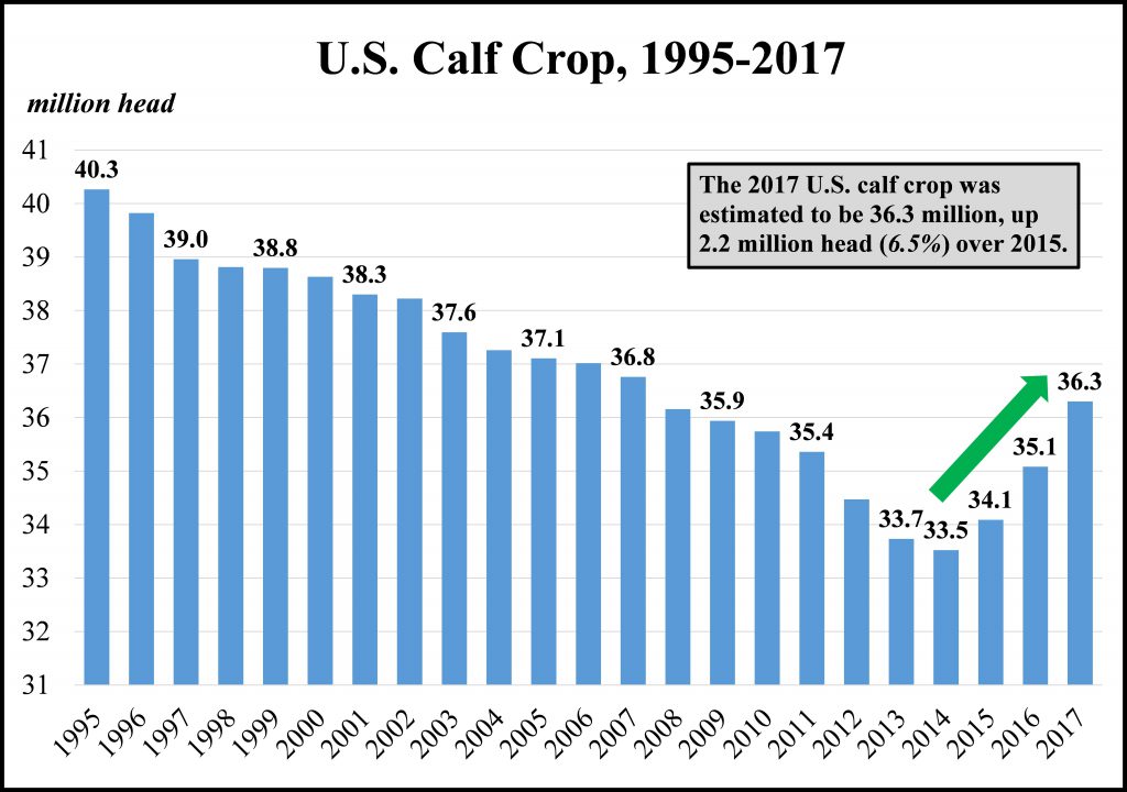 2017 U.S. Cattle Inventory Report | Panhandle Agriculture