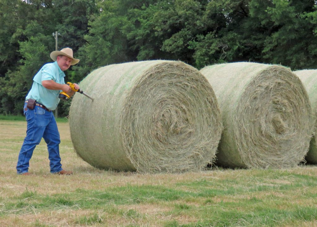 October Cattle & Forage Management Reminders | Panhandle Agriculture