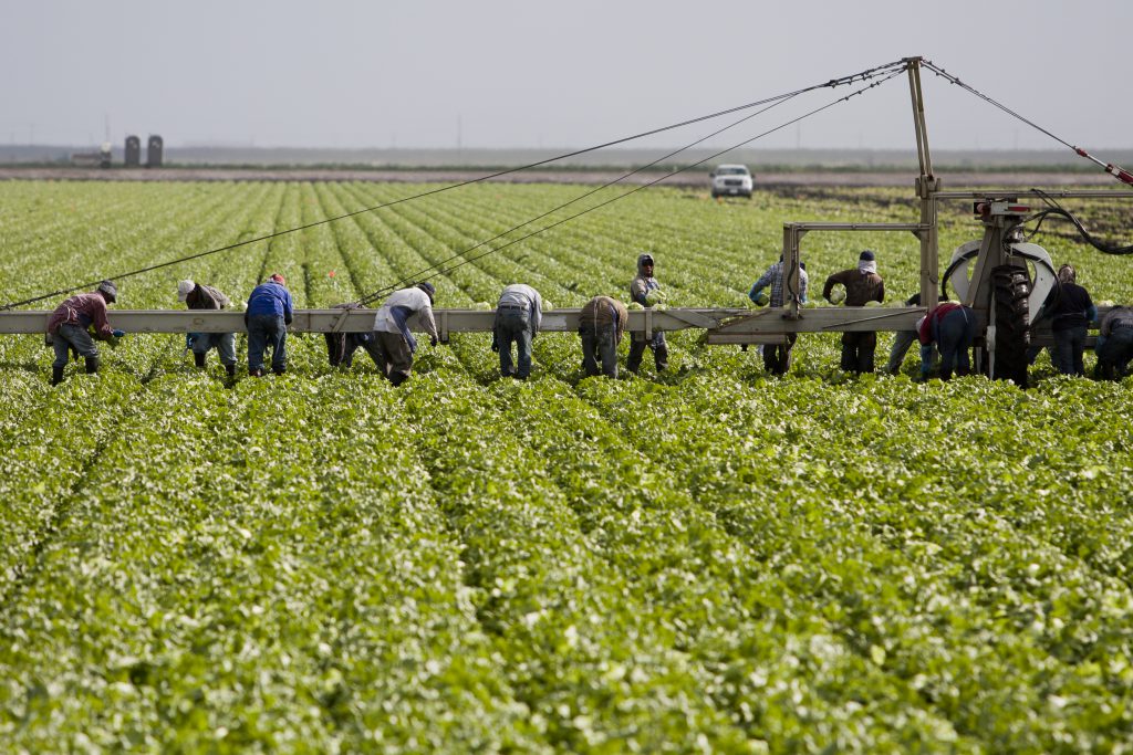 Update – What to Know About the New Temporary Ag Worker Bill ...