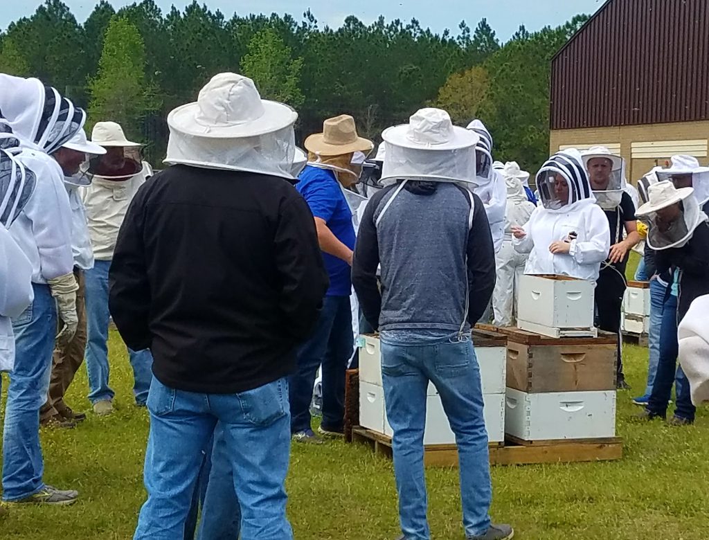 Highlights from the UF/IFAS Panhandle Bee College | Panhandle Agriculture