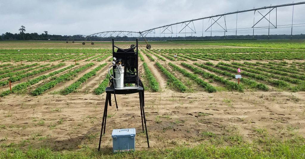 Peanut Fungicide Spray Strategies: The Values of Alternating or Mixing ...